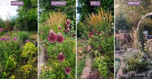 Design Your 4-Season Garden - Online Garden Design Course